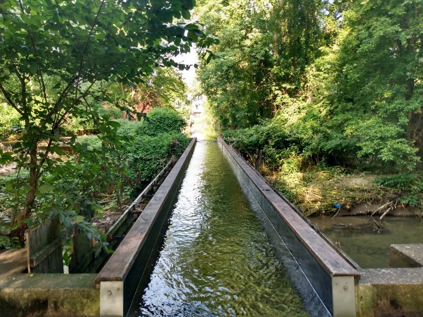 Explore Sand Island Park: A Friendly Guide to Discovering c's Serene ...